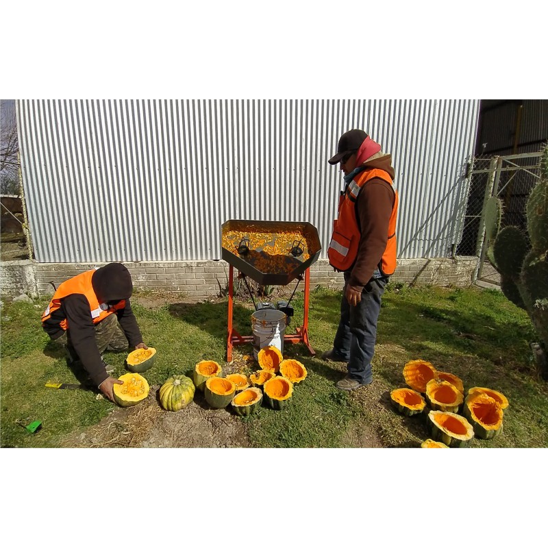 Maquina Desemilladora de Calabaza DZ6500